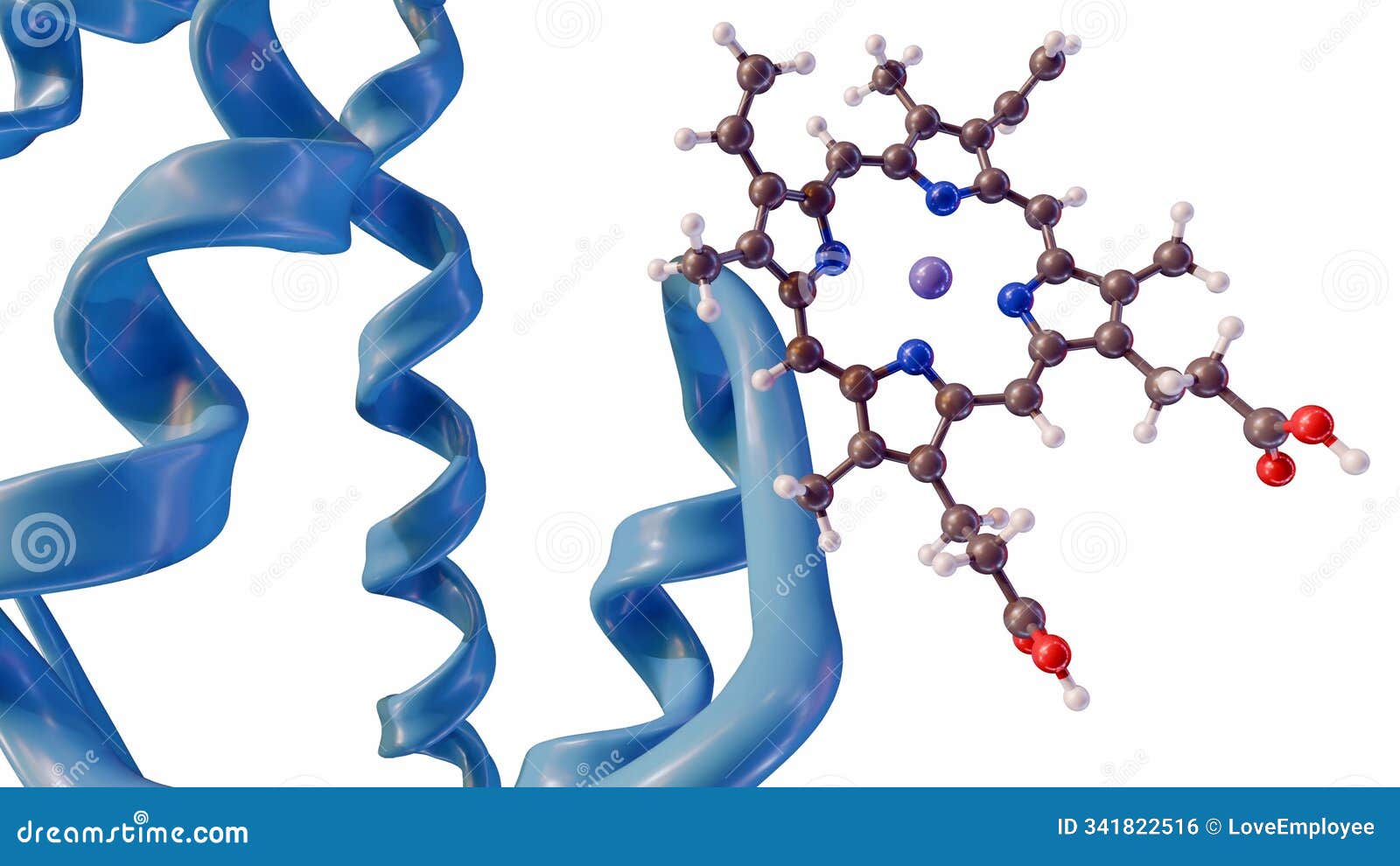 Heme Molecule and Protein Structure in the White Background. Stock ...