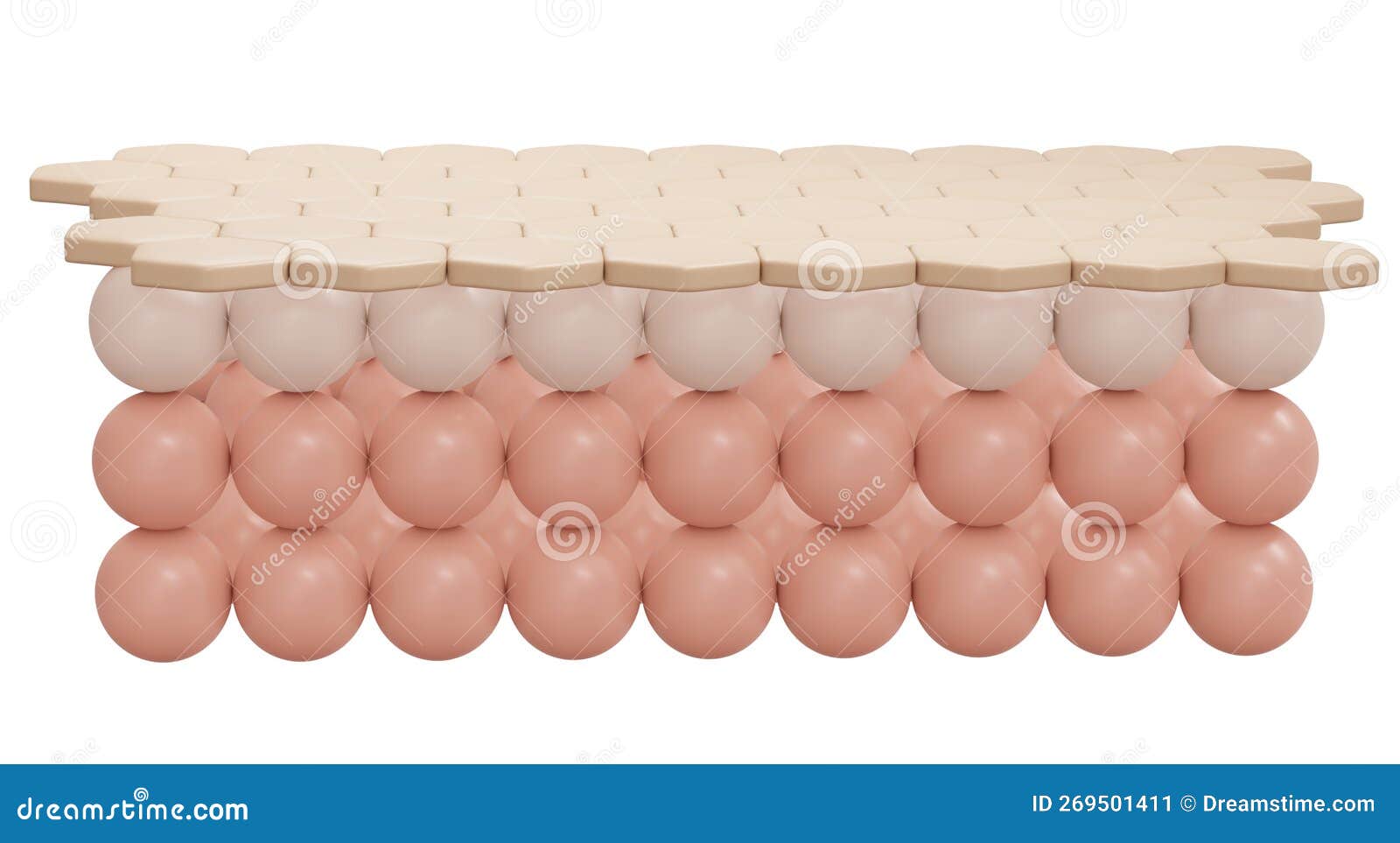3d Rendering of Hexagon Pattern Closeup of Clean Perfect Skin Cell ...