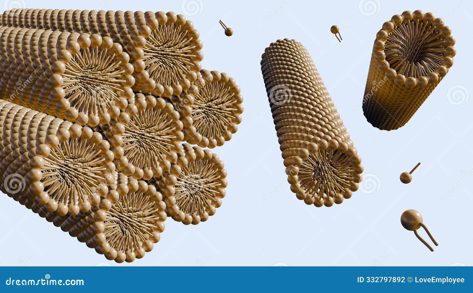 3d Rendering Of Lipid Monolayer On Archaea Membrane Stock Photography ...