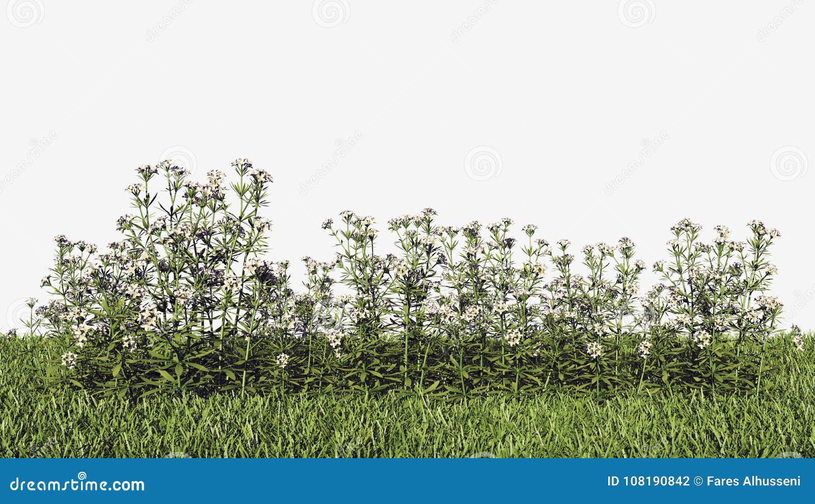 3d Rendering of a Horizontal Seamless Bushes Stock Illustration ...