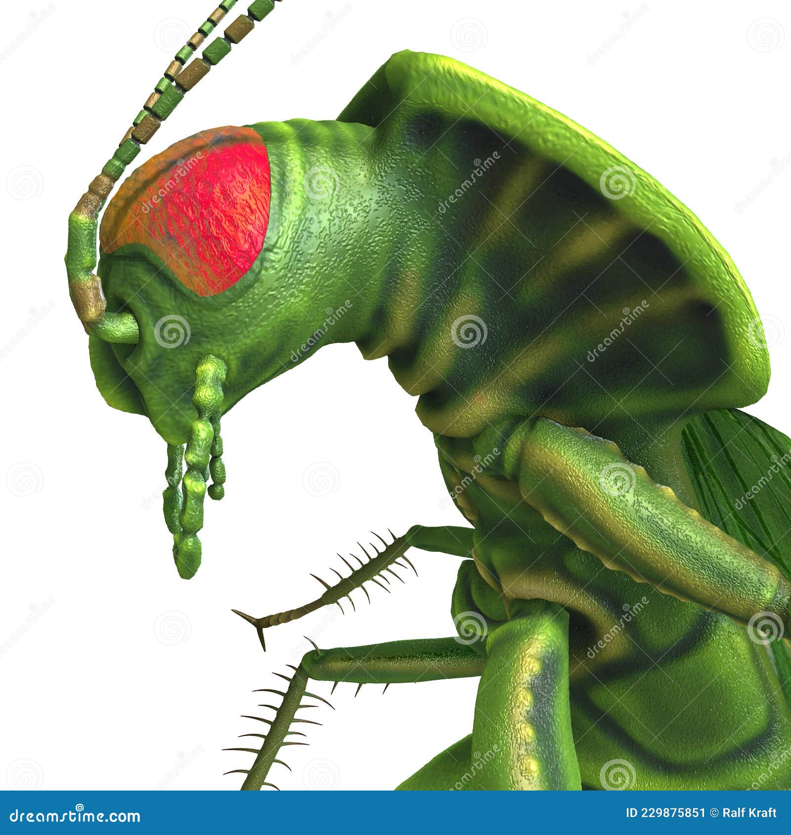 3D-illustration of a Creepy Cartoon Cockroach. Isolated Rendering ...