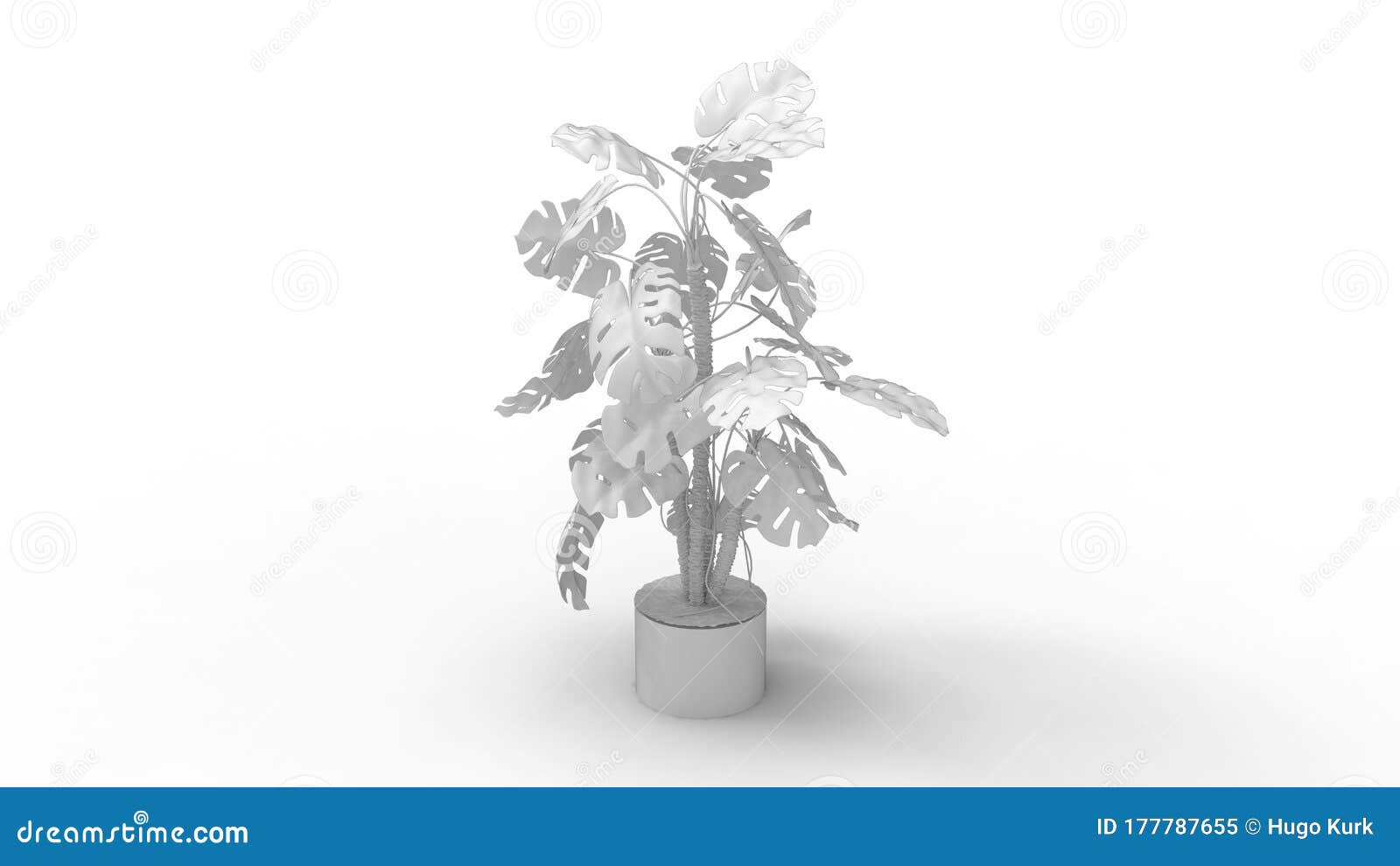 3D Rendering of a House Plant Model Computer Generated Stock ...