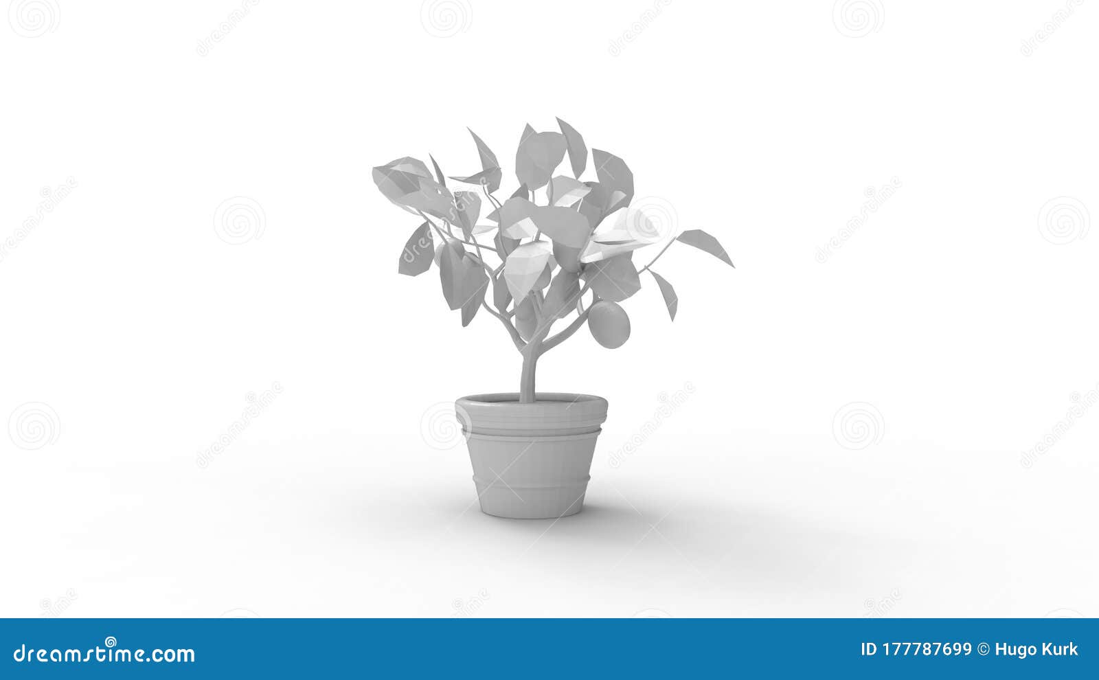 3D Rendering of a House Plant Model Computer Generated Stock ...