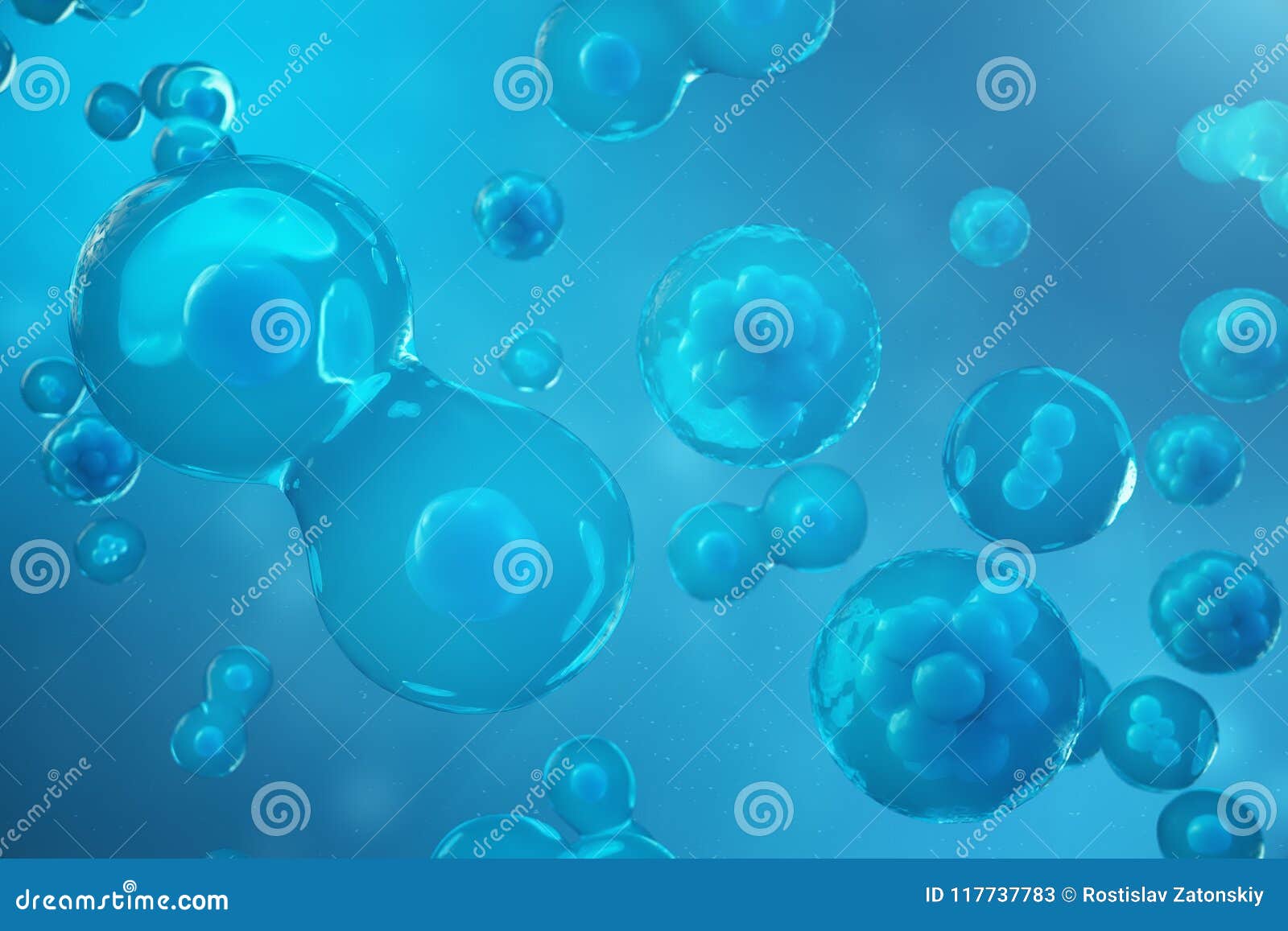Mitosis Of Plasma Field With Particles Royalty-Free Stock Image ... Mitosis Of Plasma Field With Particles Royalty-Free Stock Image ...