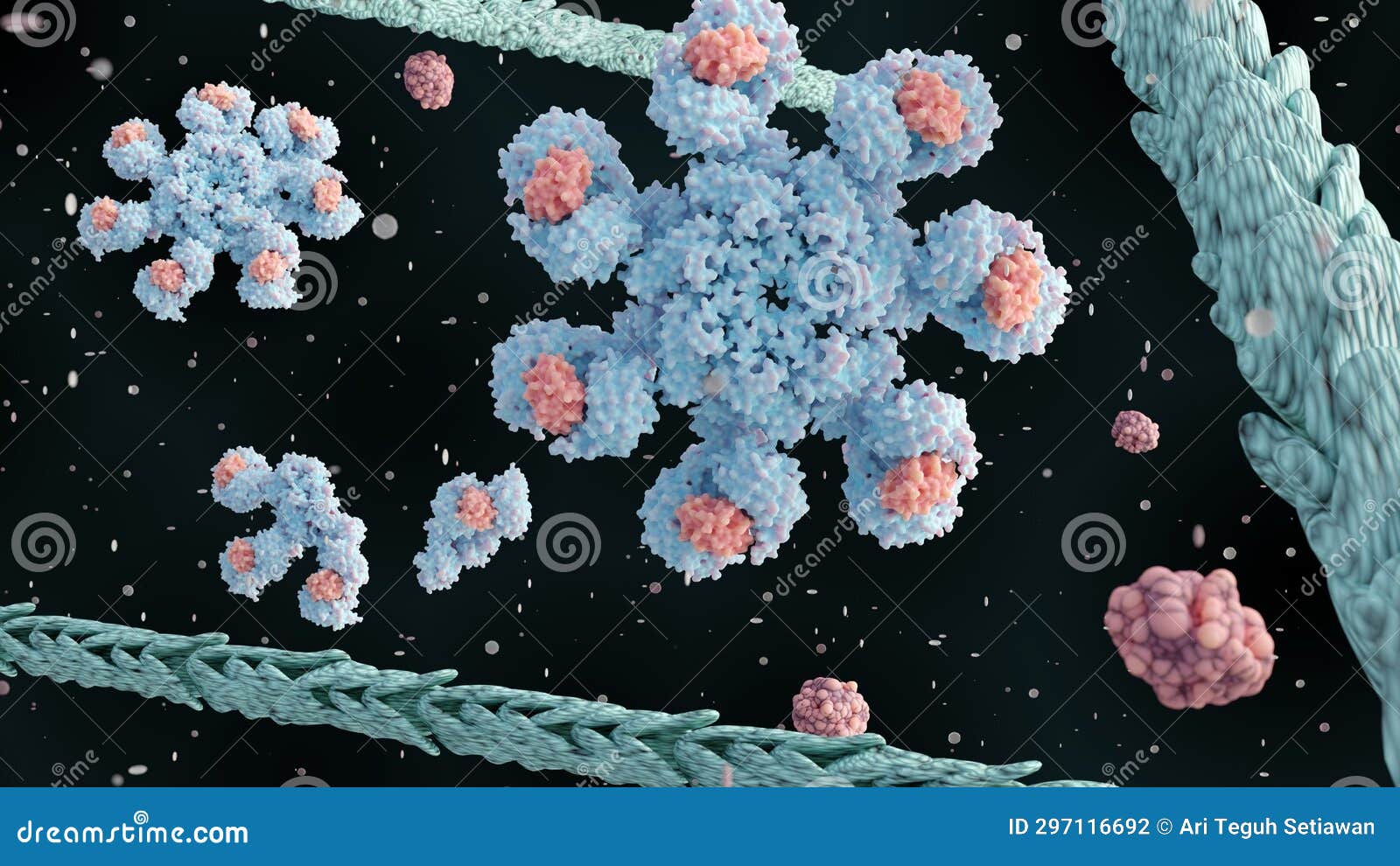 Conjugate Complex Numbers In Mathematics. Argand Diagram Cartoon Vector ...