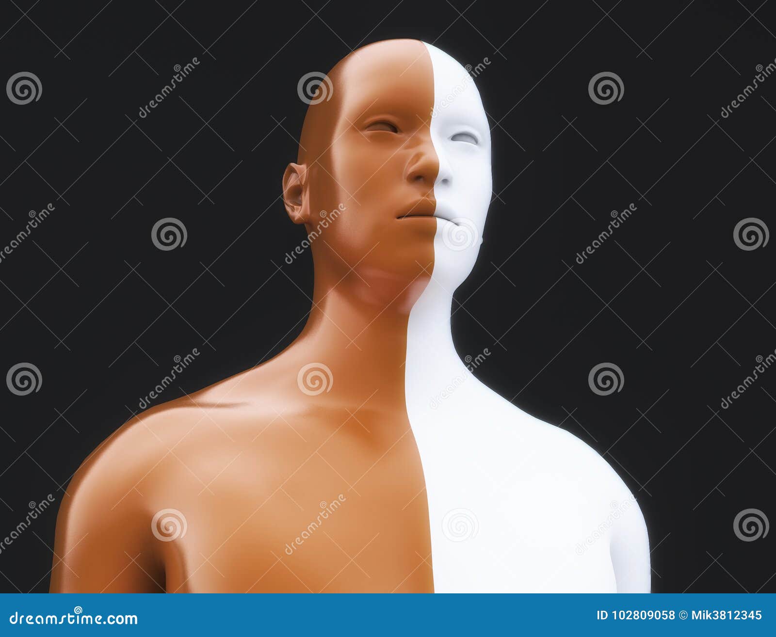 Human Body Divided into Two Colors Stock Illustration - Illustration of ...