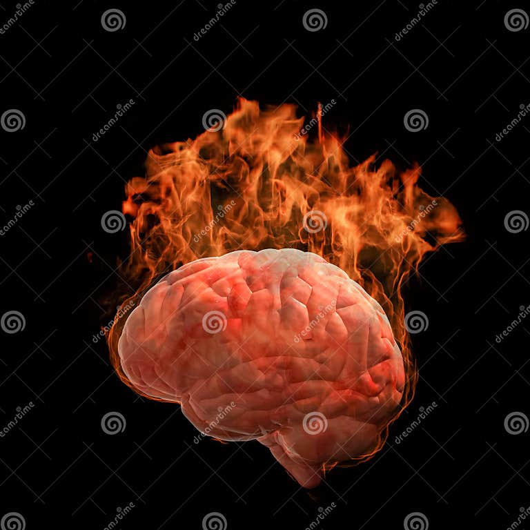 3D Rendering of a Human Brain`s Burning on Fire with Hot Flame Stock ...