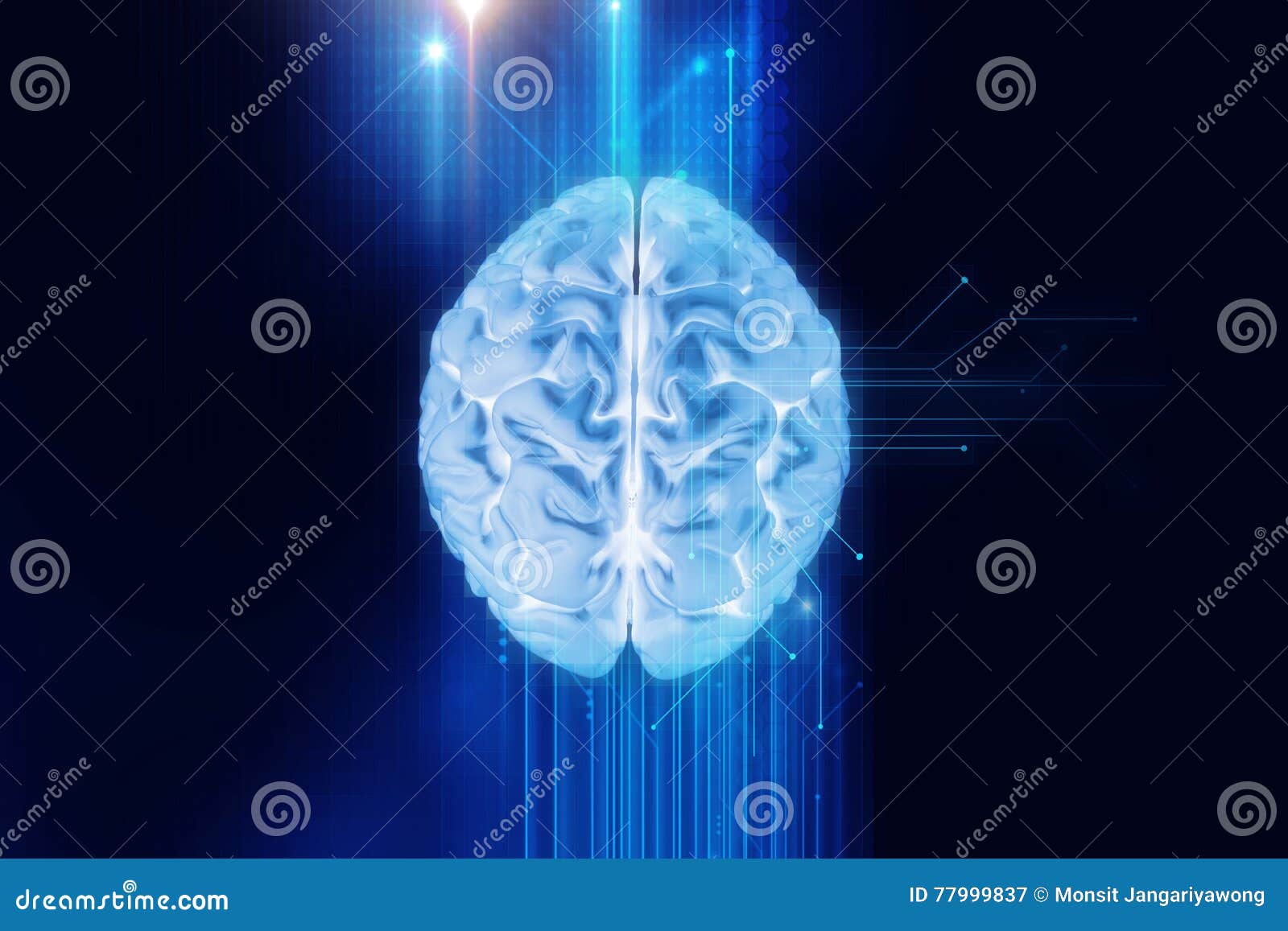 3d Rendering of Human Brain on Technology Background Stock Illustration ...