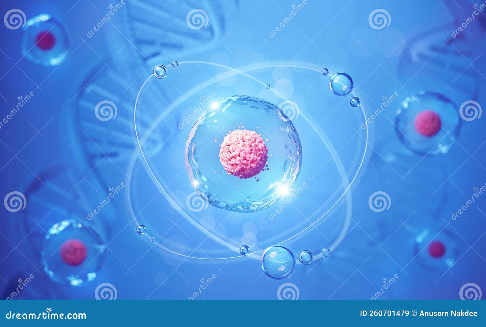 Embryonic Stem Cells Or Growth, Rehabilitation And Treatment Of ...