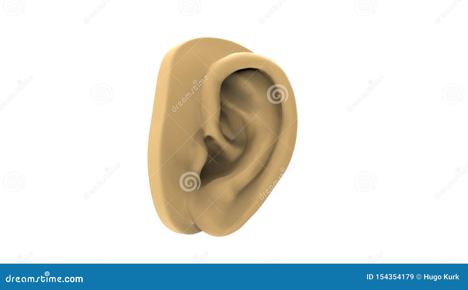 3d Rendering of a Human Ear Isolated in White Studio Background Stock ...