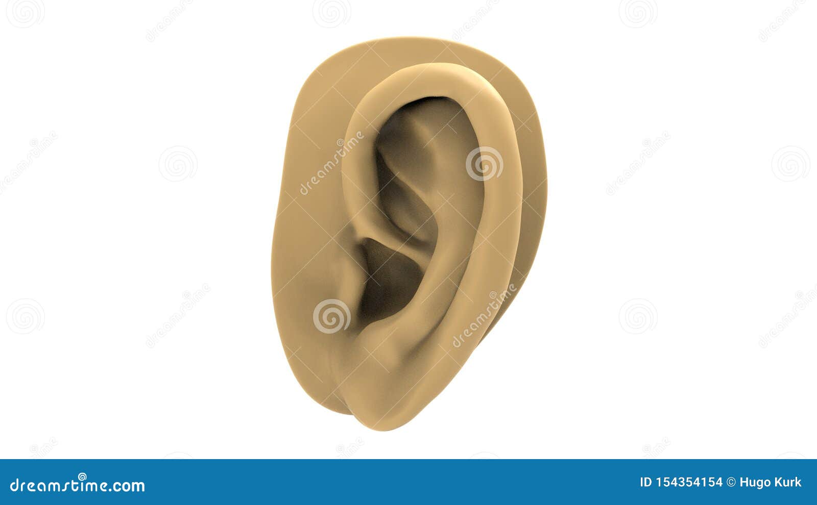 3d Rendering of a Human Ear Isolated in White Studio Background Stock ...