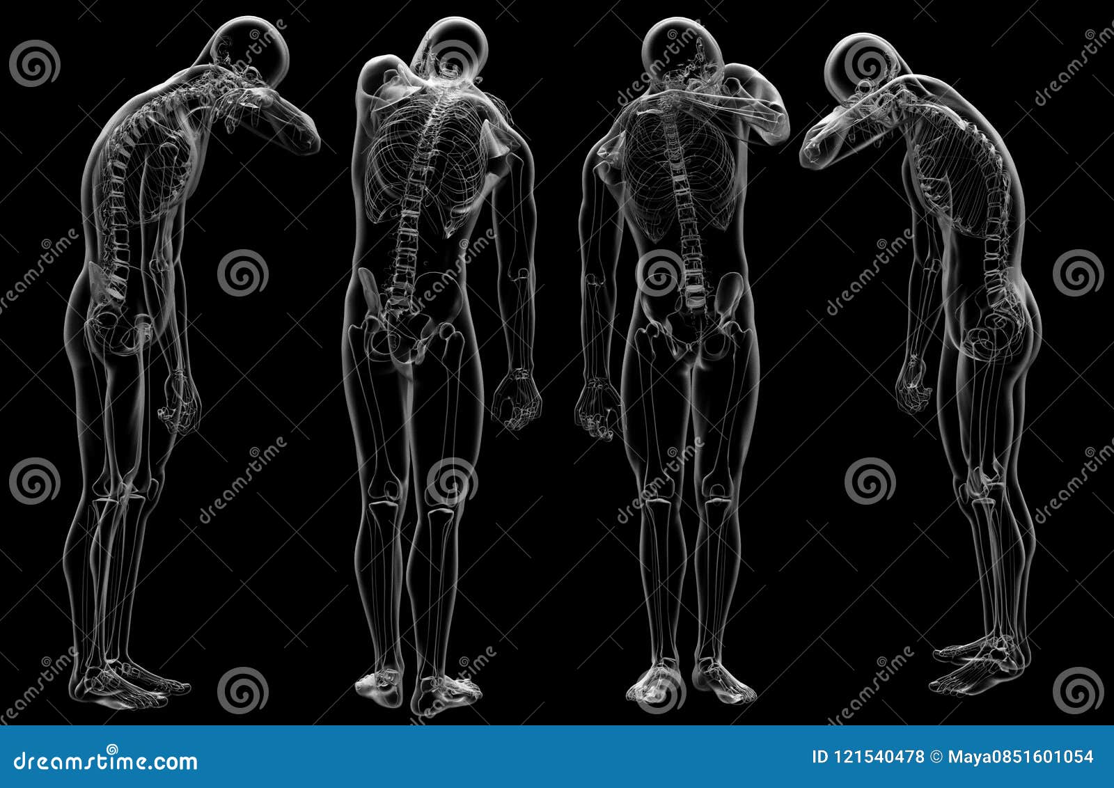 3d rendering of human stock illustration. Illustration of science ...