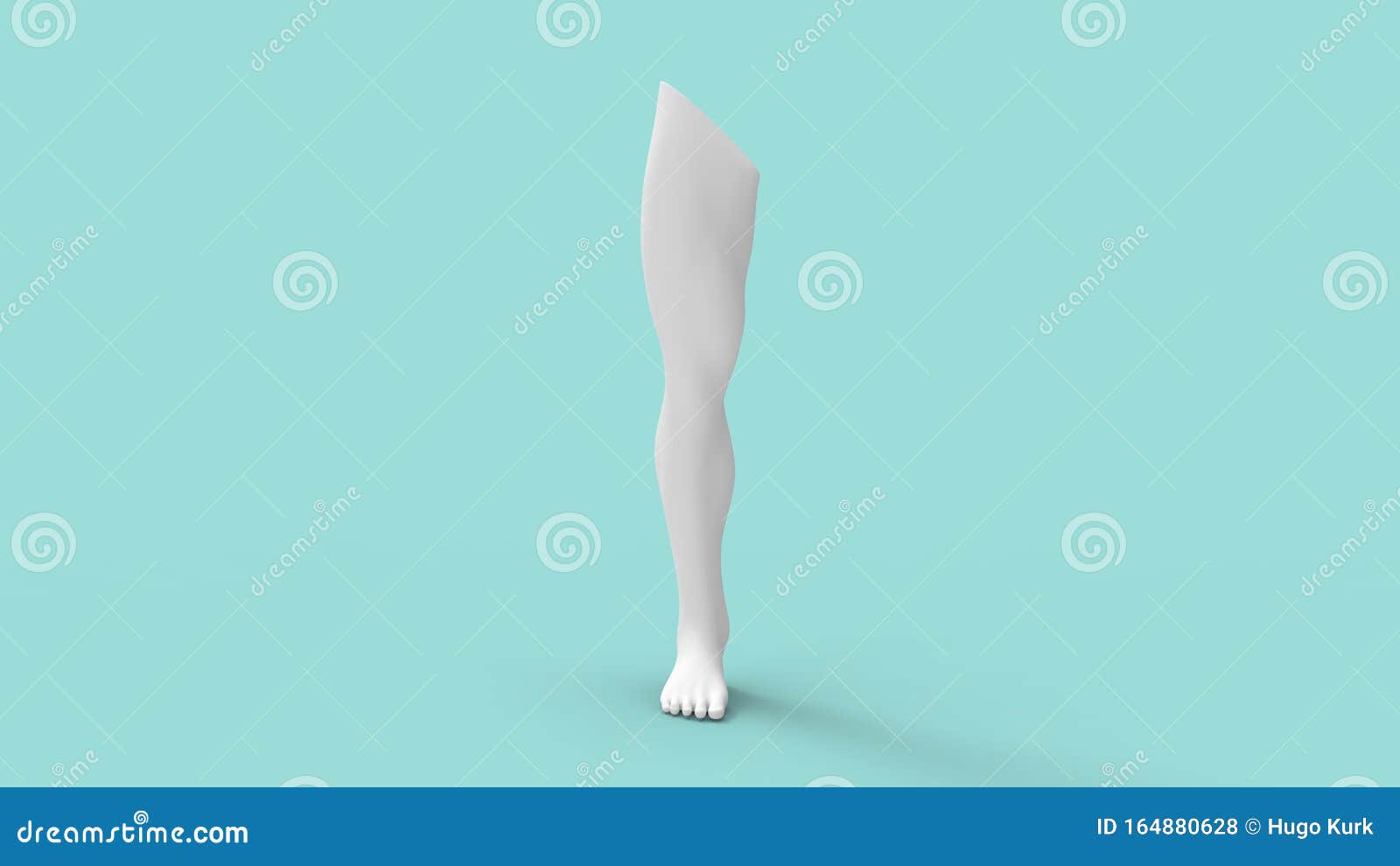 3d Rendering of a Human Leg Isolated in Studio Background Stock ...