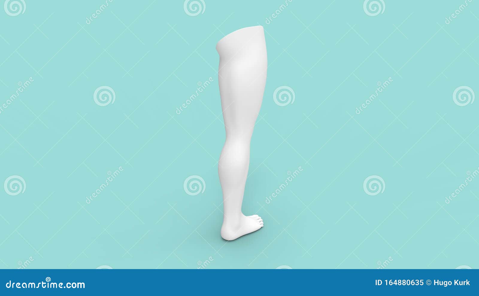 3d Rendering of a Human Leg Isolated in Studio Background Stock ...