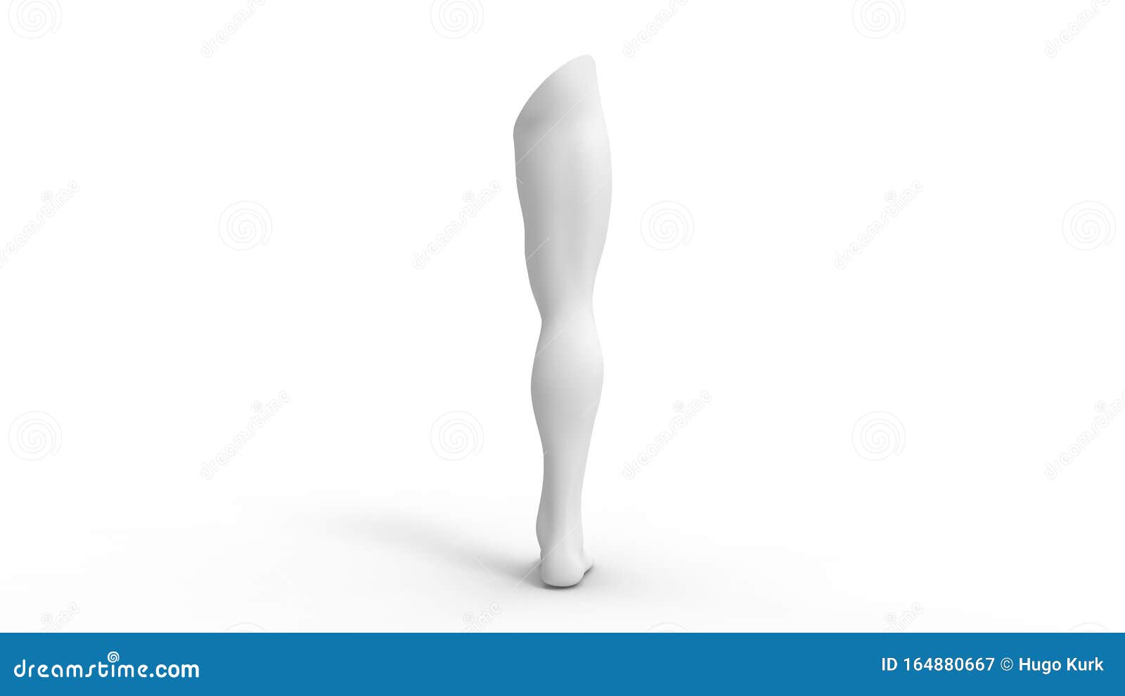 3d Rendering of a Human Leg Isolated in Studio Background Stock ...