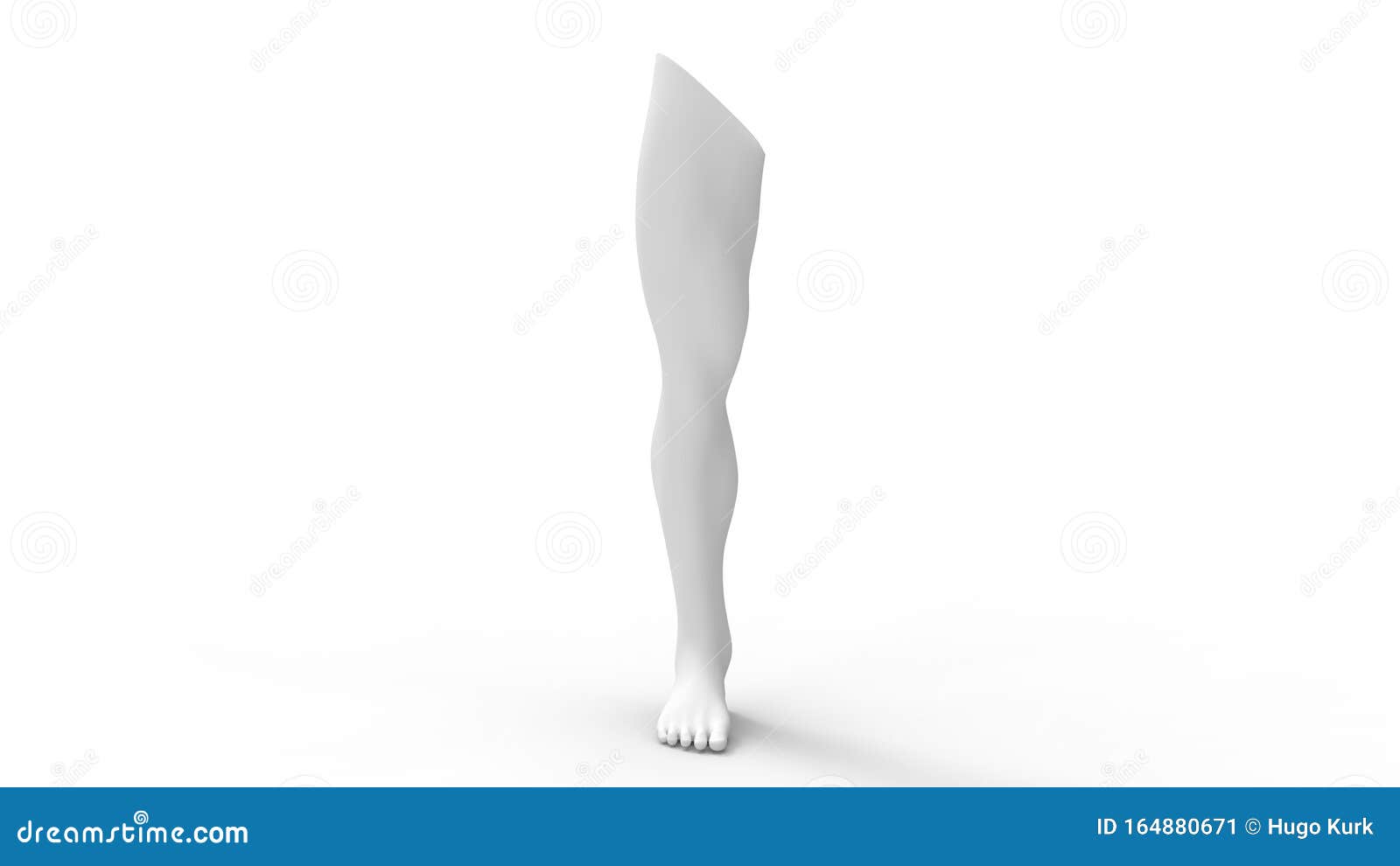 3d Rendering of a Human Leg Isolated in Studio Background Stock ...