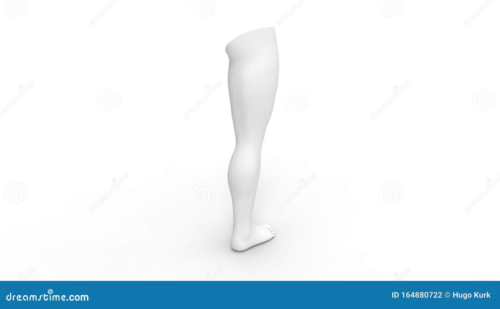 3d Rendering of a Human Leg Isolated in Studio Background Stock ...