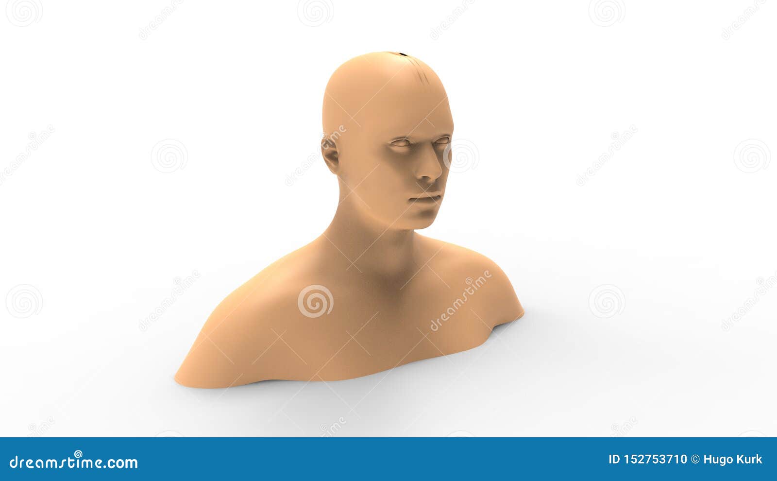 3d Rendering of a Human Model Isolated in White Background Stock ...