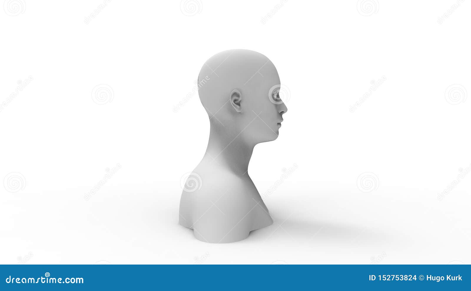 3d Rendering of a Human Model Isolated in White Background Stock ...