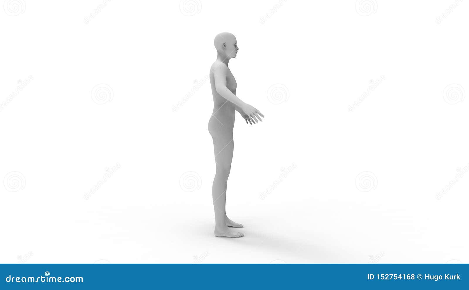 3d Rendering of a Human Model Isolated in White Background Stock ...