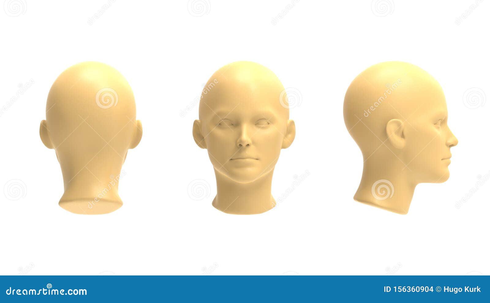 3d Rendering of a Human Model Isolated in White Background Stock ...