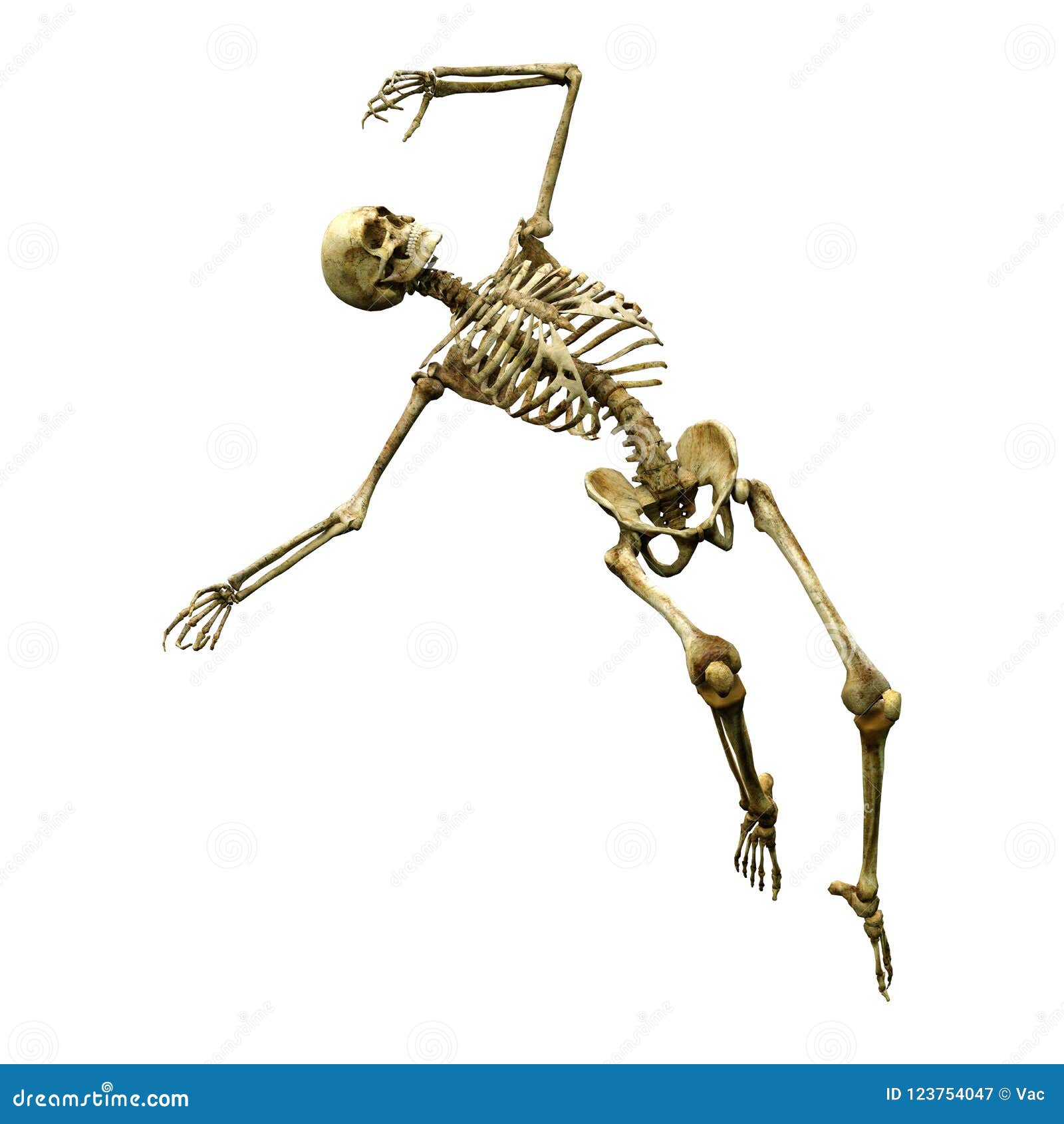 Skeleton Falling Stock Illustrations – 169 Skeleton Falling Stock ...