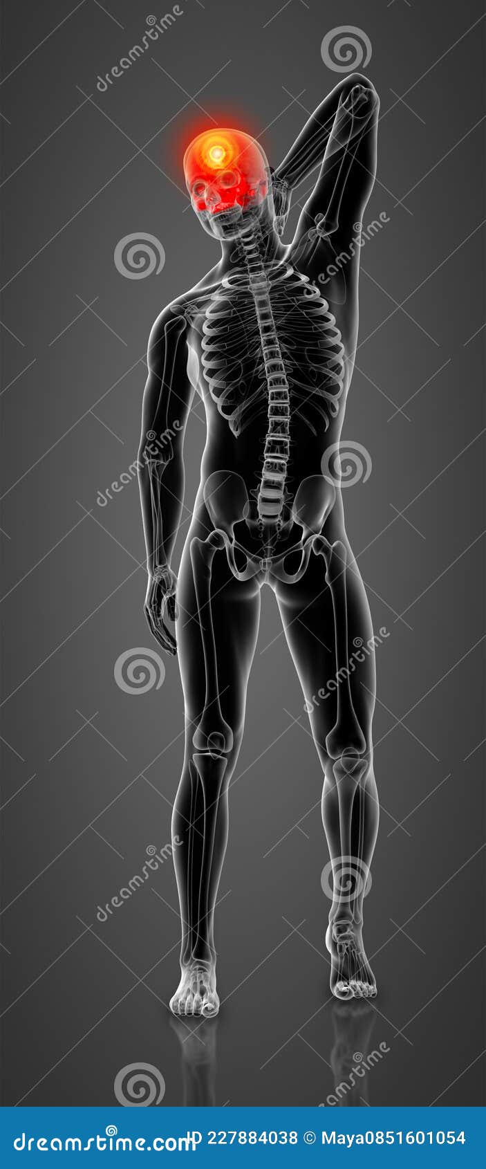 3D rendering Human Skull stock illustration. Illustration of white ...