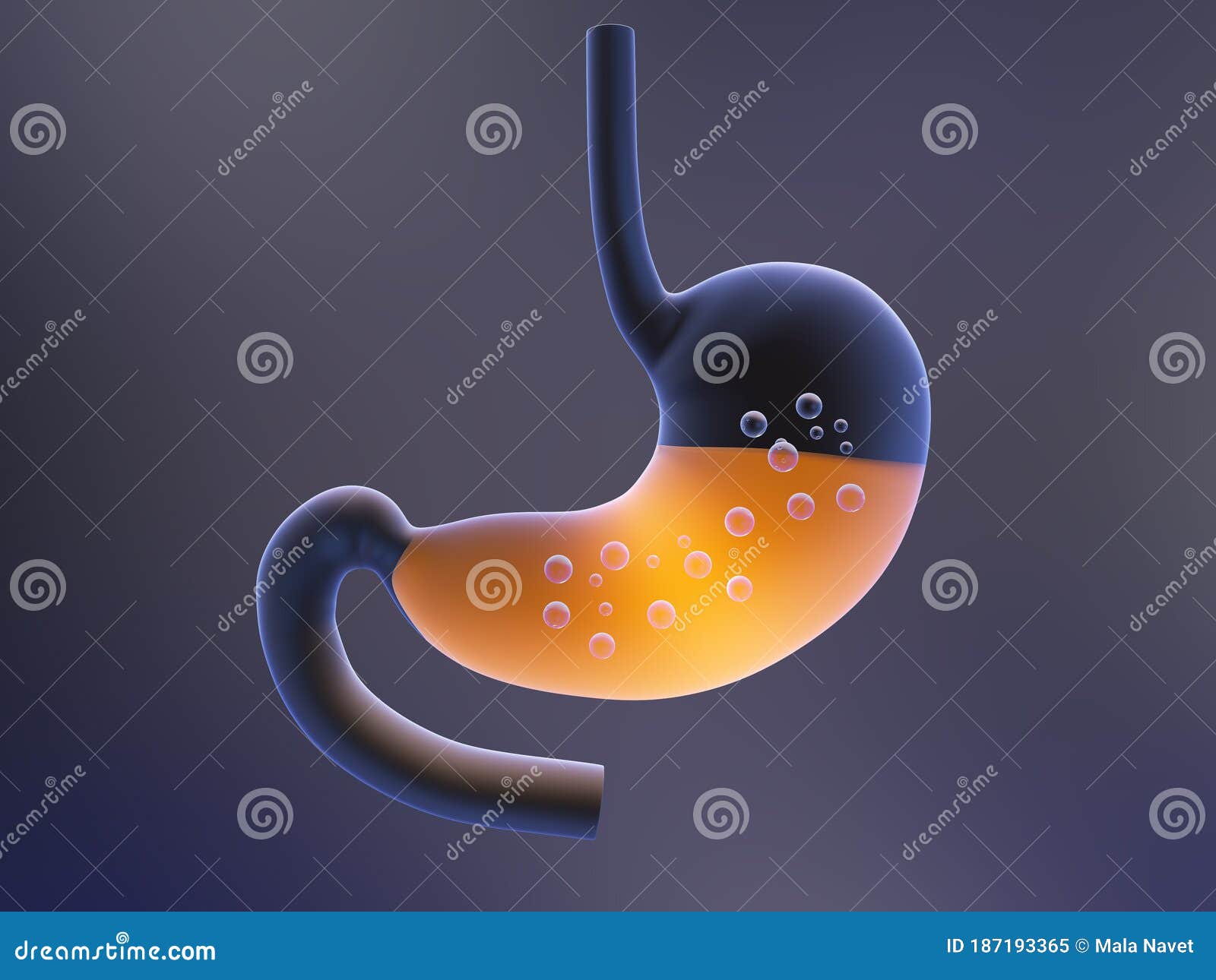 3d Rendering of Human Stomach with Gas. Stock Illustration ...