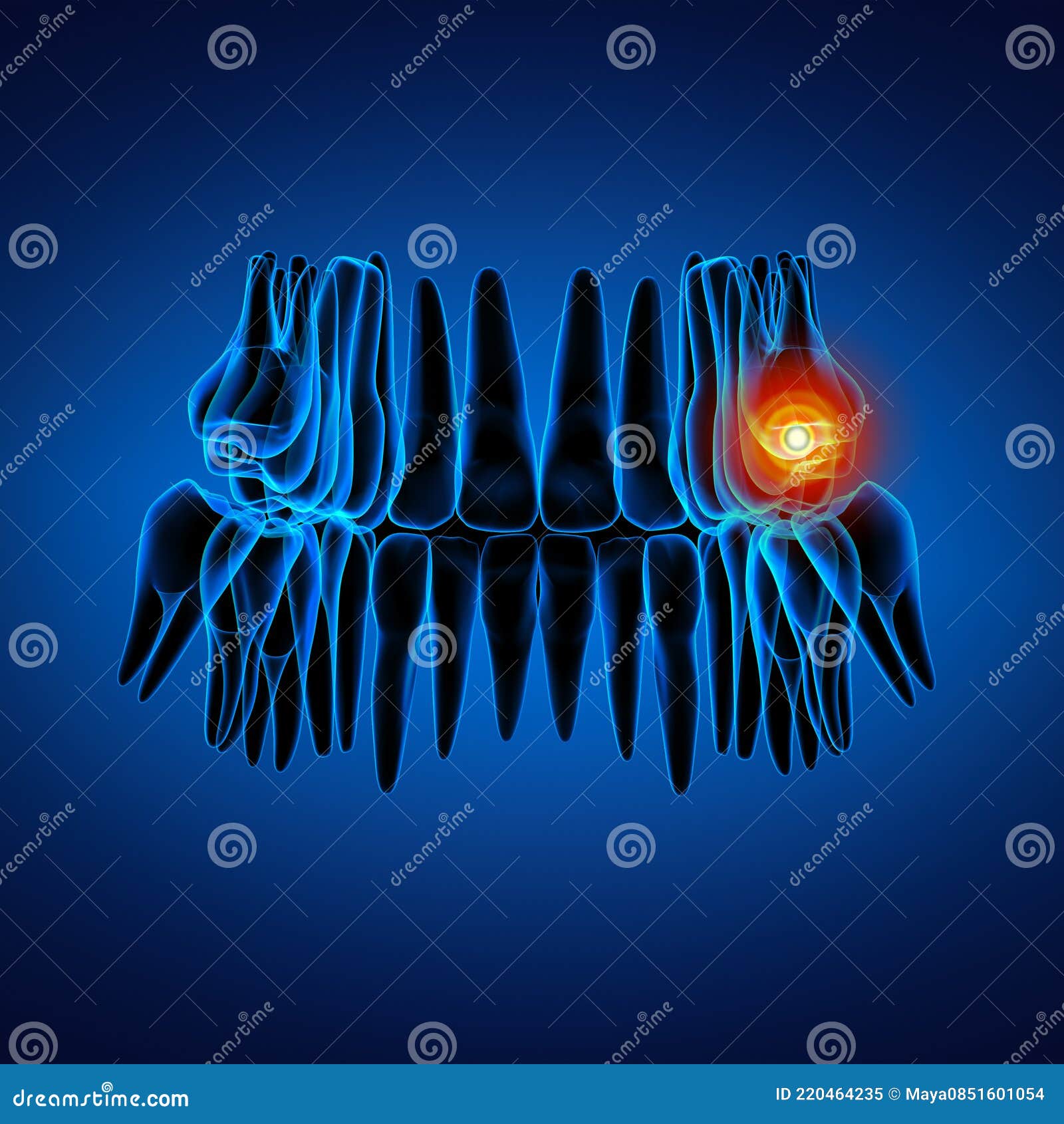 3d Rendering of Human Teeth Stock Illustration - Illustration of grind ...