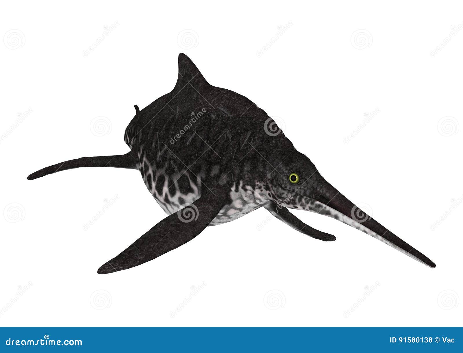 3D Rendering Ichthyosaur Shonisaurus on White Stock Illustration ...
