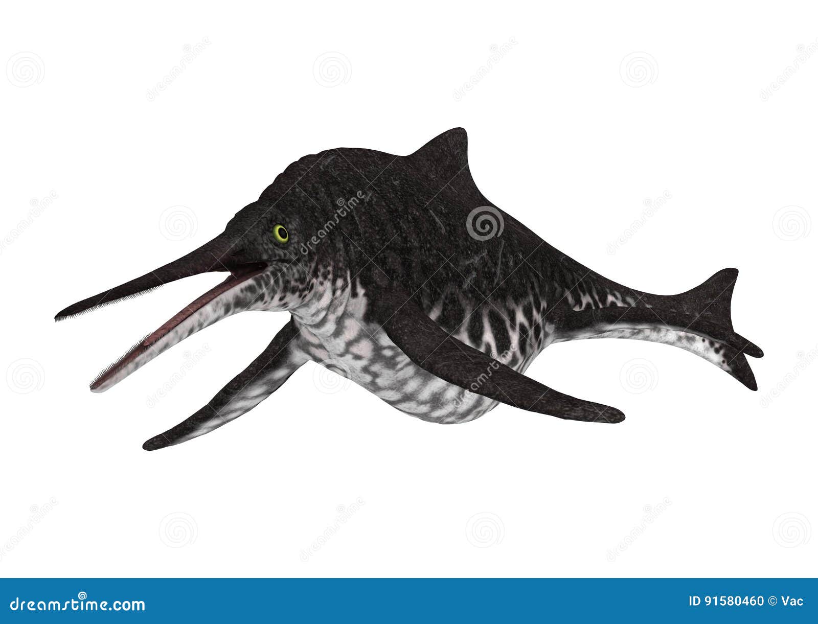 3D Rendering Ichthyosaur Shonisaurus on White Stock Illustration ...