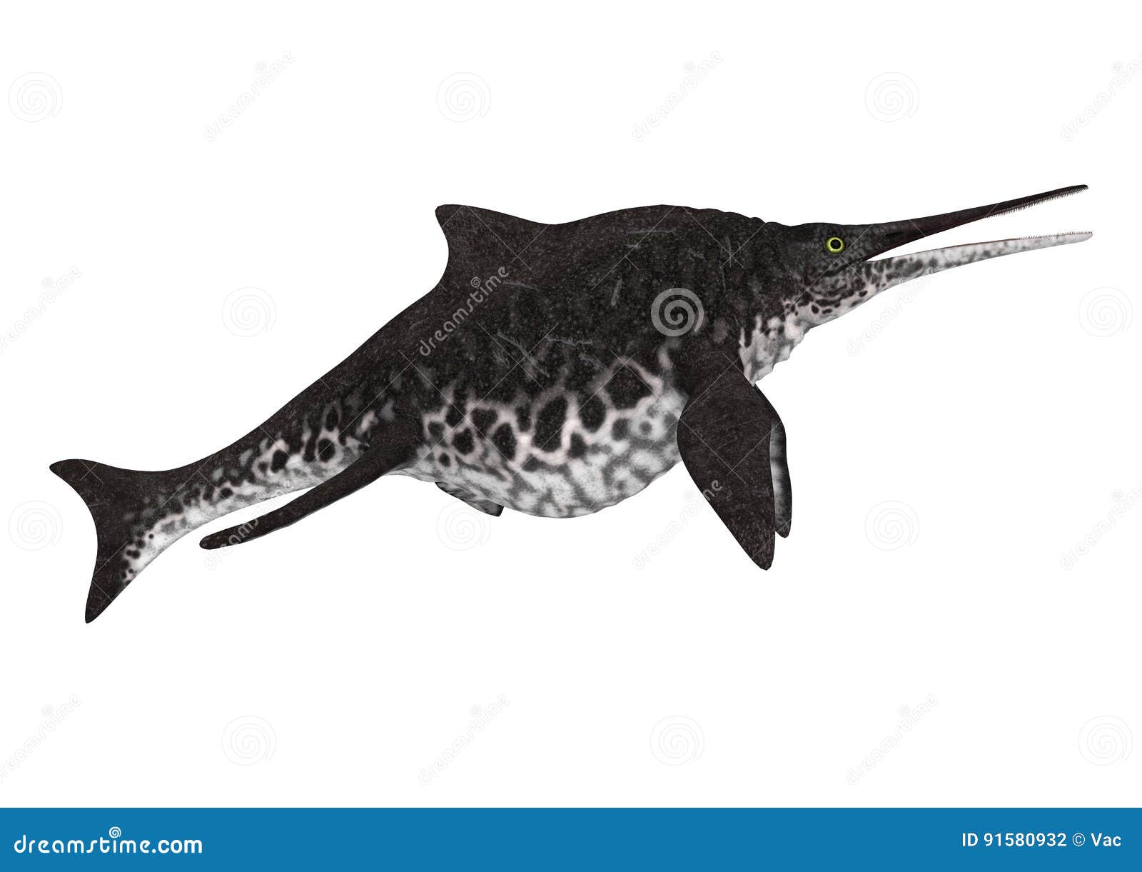 3D Rendering Ichthyosaur Shonisaurus on White Stock Illustration ...