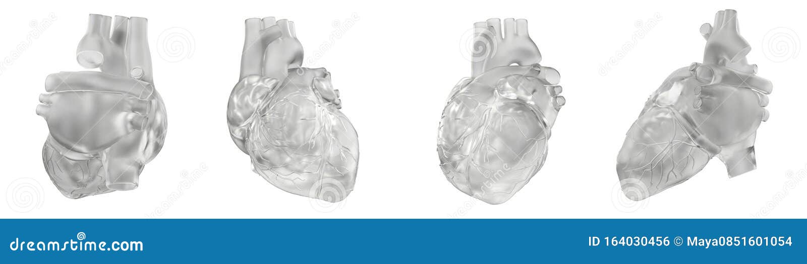 3d Rendering Illustration of Heart Stock Illustration - Illustration of ...
