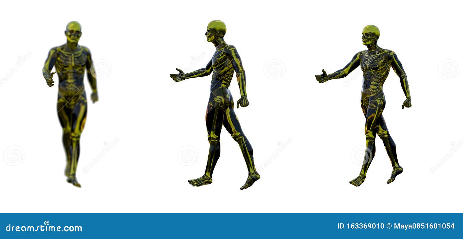 3d Rendering Illustration of Human Anatomy Stock Illustration ...