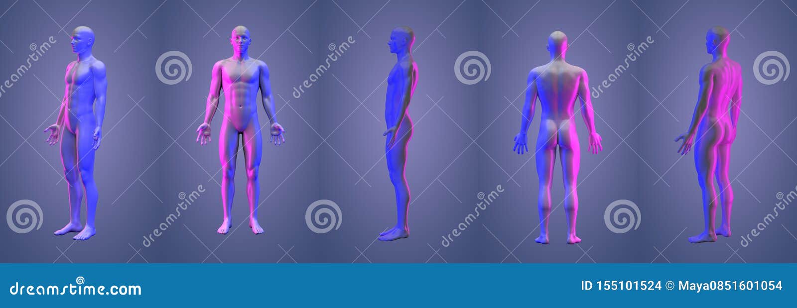 3d Rendering Illustration of Human Stock Illustration - Illustration of ...