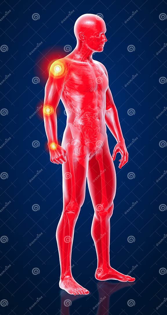 3D Rendering Illustration of Human Stock Illustration - Illustration of ...