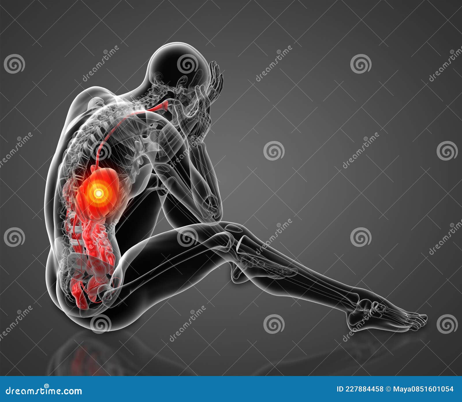 3d Rendering Illustration of Human Digestive System Stock Illustration ...