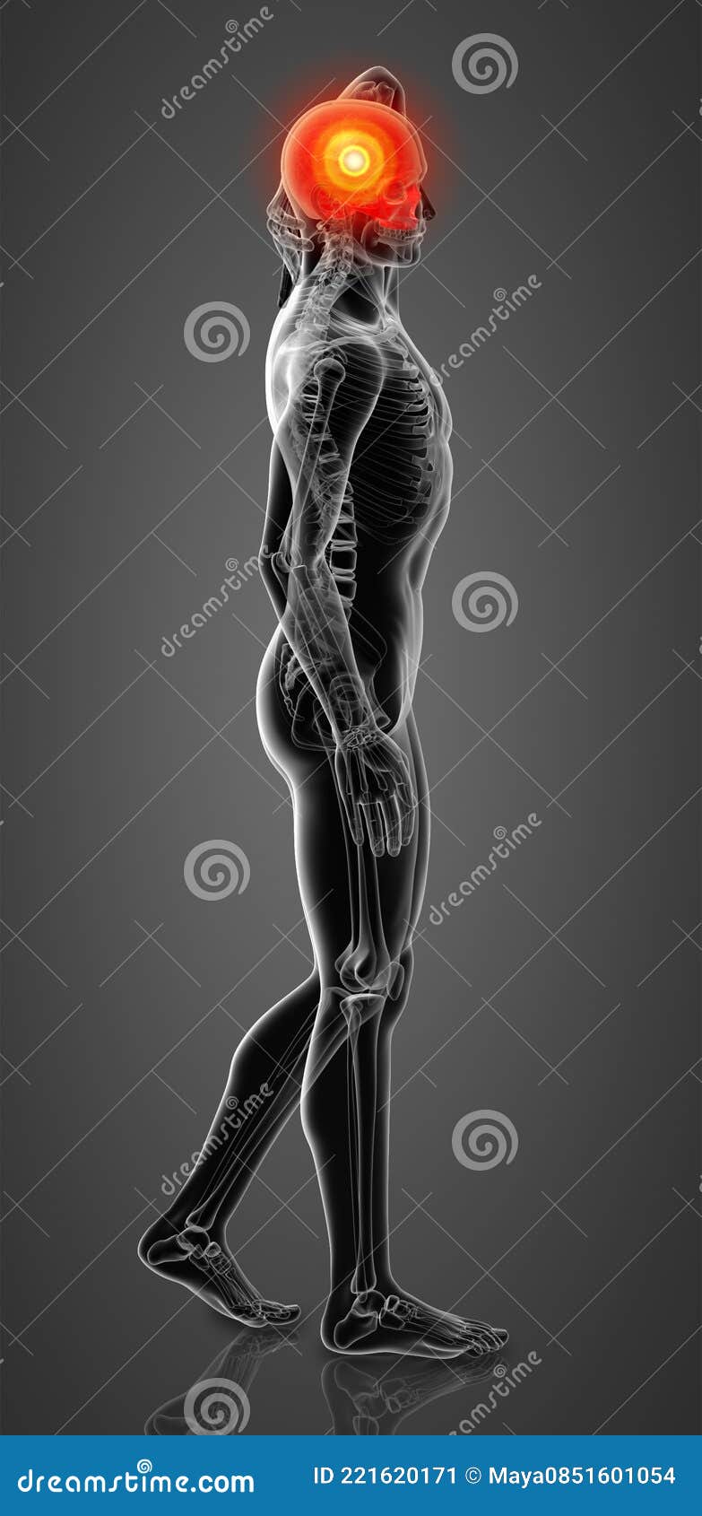 3D Rendering Illustration of Human Skull Stock Illustration ...