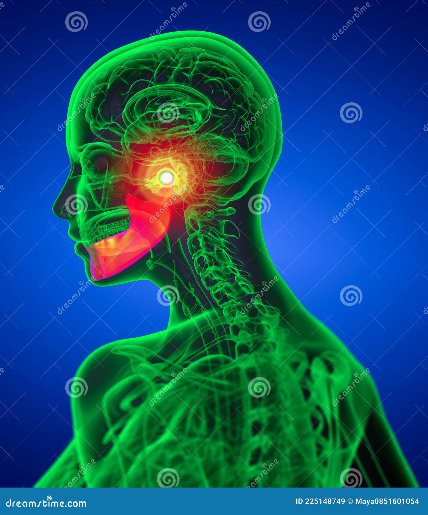 3d Rendered Illustration - Jaw Bone Stock Illustration - Illustration ...