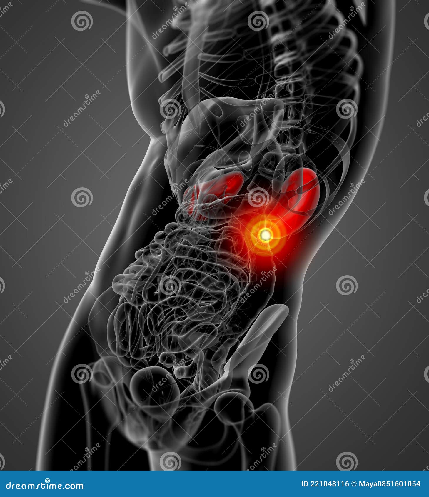 3D Rendering Illustration of Kidneys Stock Illustration - Illustration ...