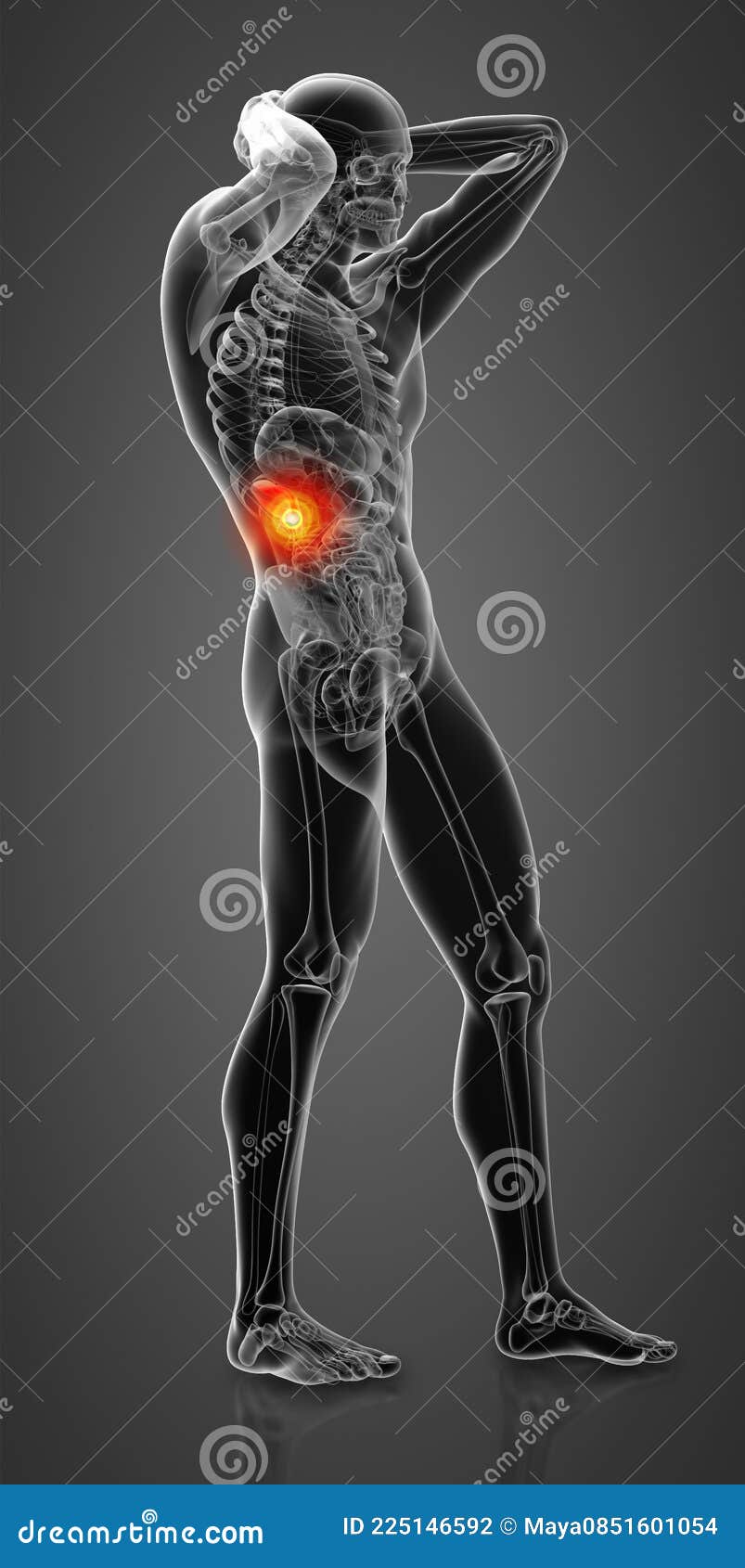 3D Rendering Illustration of Kidneys Stock Illustration - Illustration ...