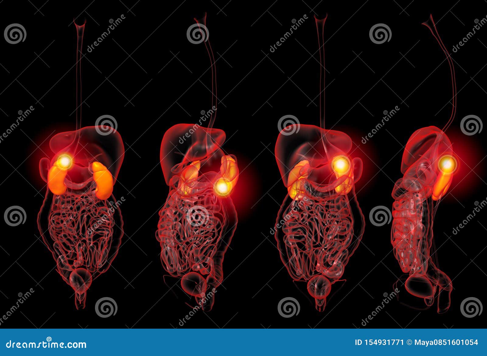 3D Rendering Illustration of Kidneys Pain Stock Illustration ...