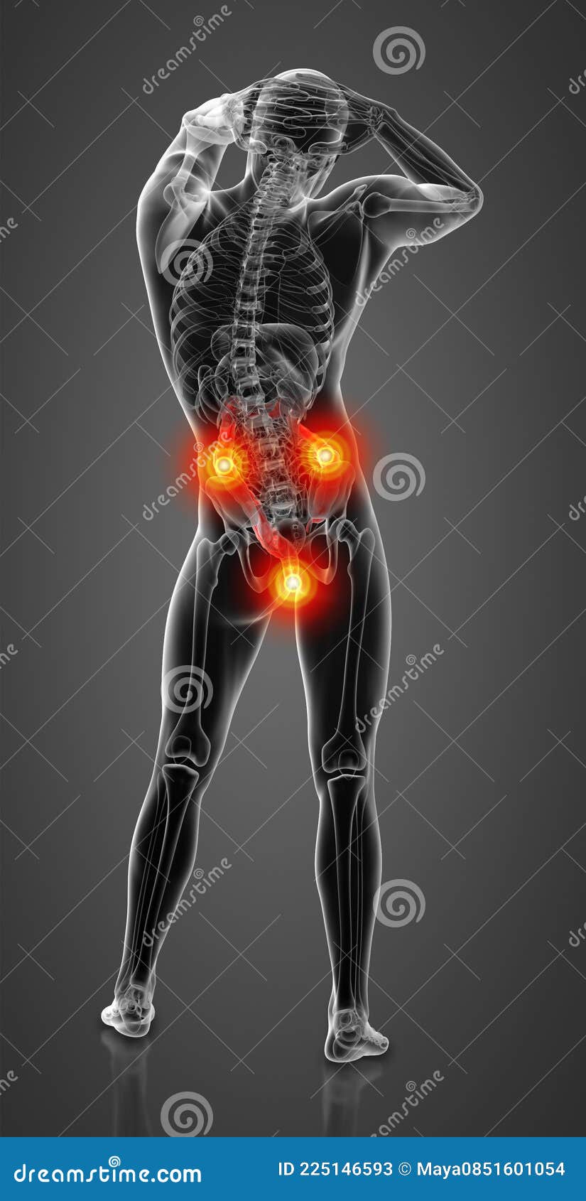 3D Rendering Illustration of Large Intestine Stock Illustration ...