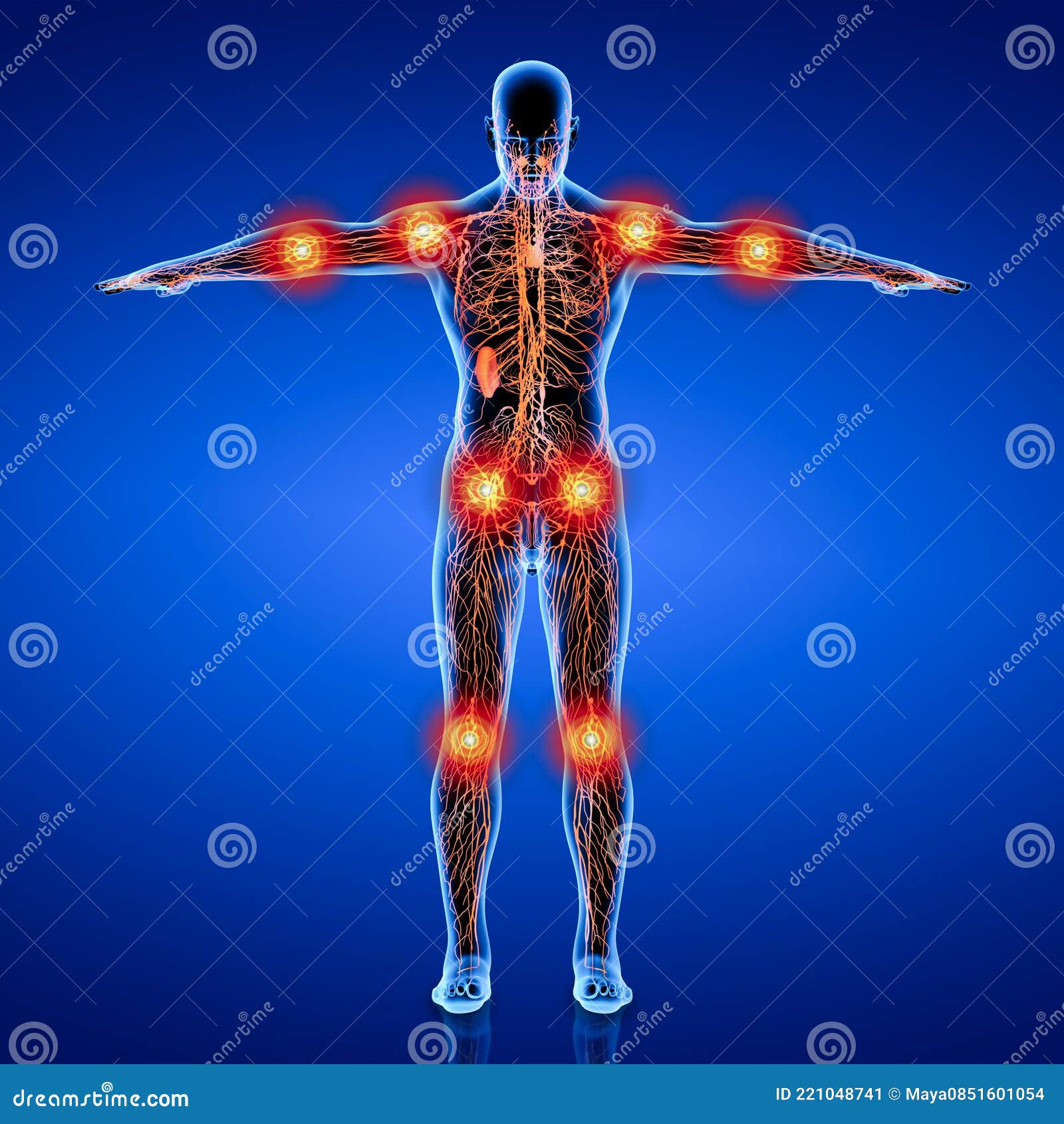 3D Rendering Illustration of Lymphatic System Stock Illustration ...
