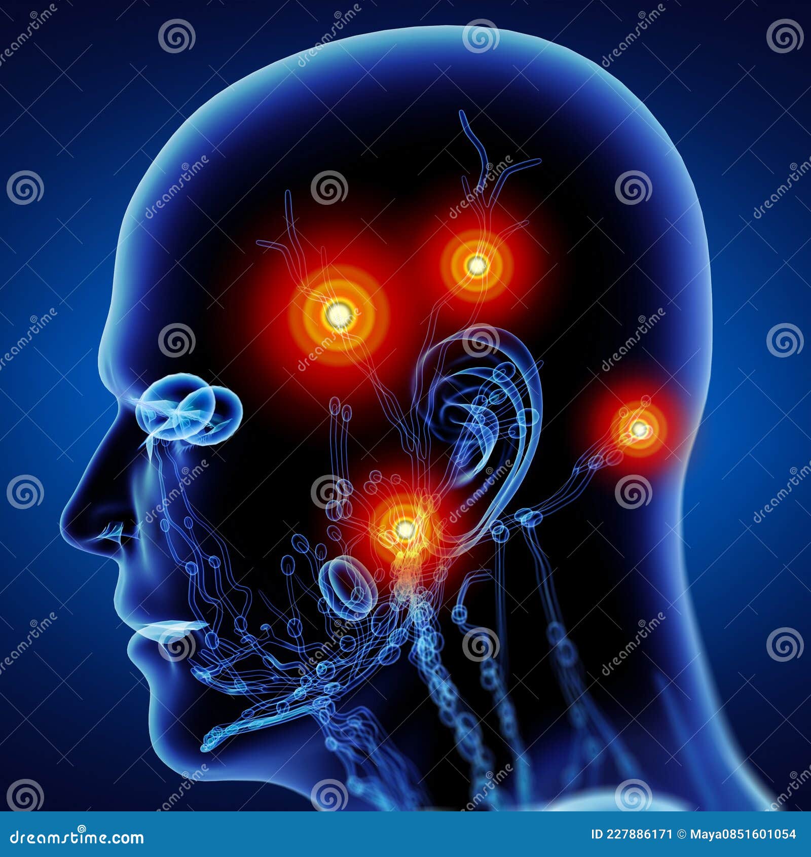 3D Rendering Illustration of Lymphatic System Stock Illustration ...