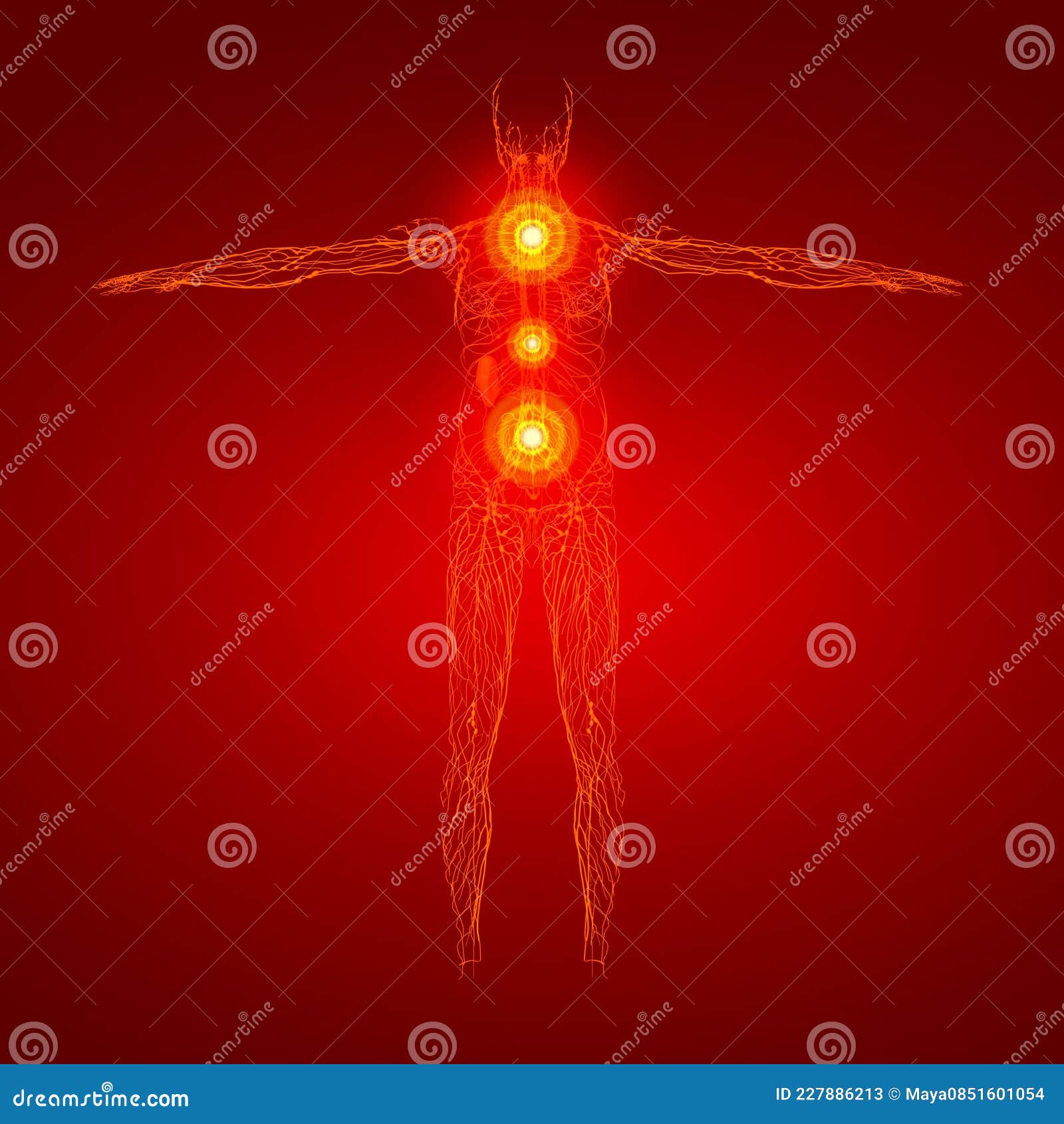 3D Rendering Illustration of Lymphatic System Stock Illustration ...