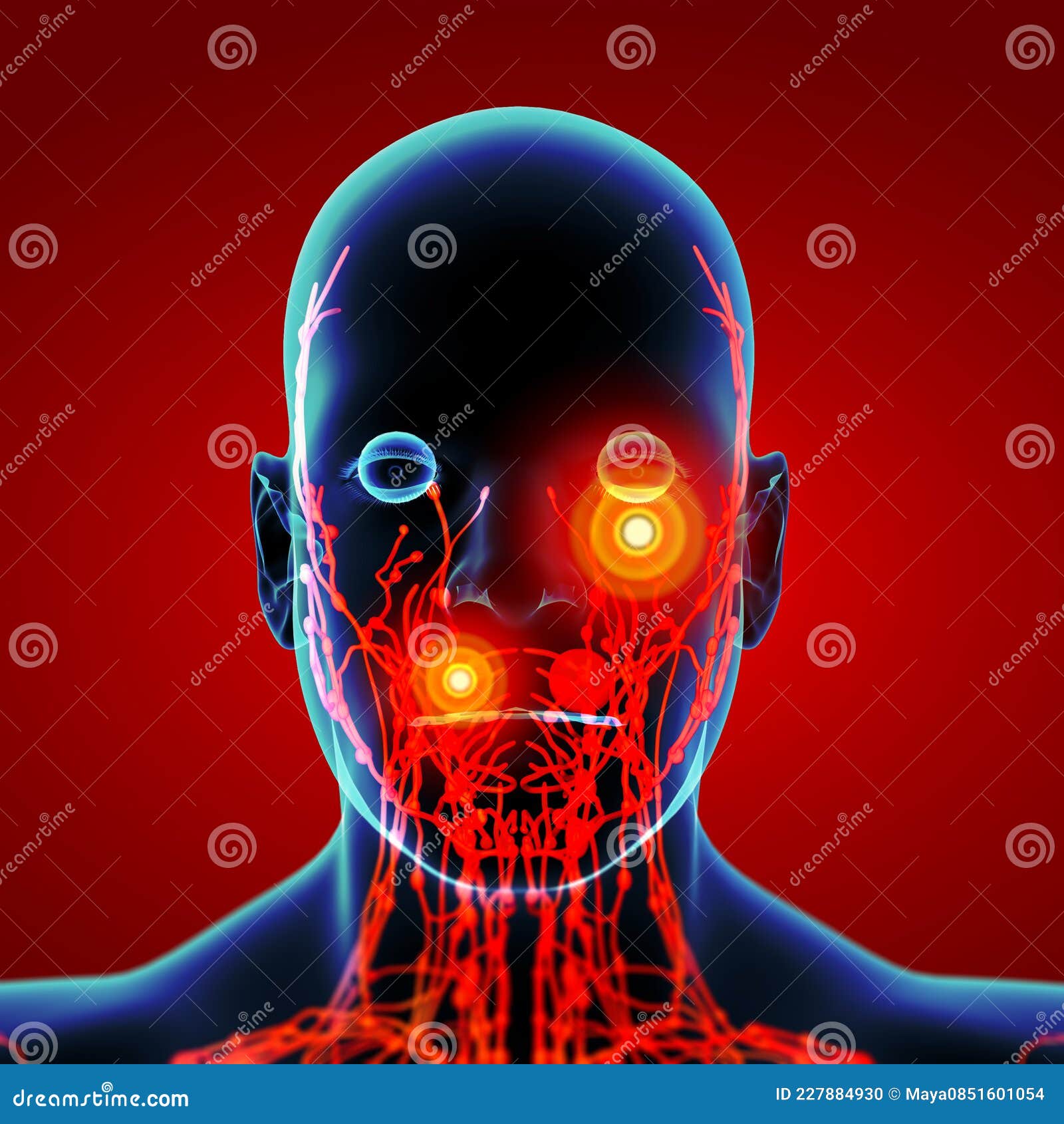 3D Rendering Illustration of Lymphatic System Stock Illustration ...