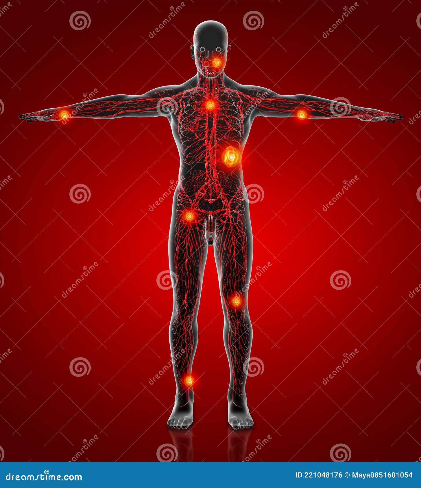 3D Rendering Illustration of Lymphatic System Stock Illustration ...