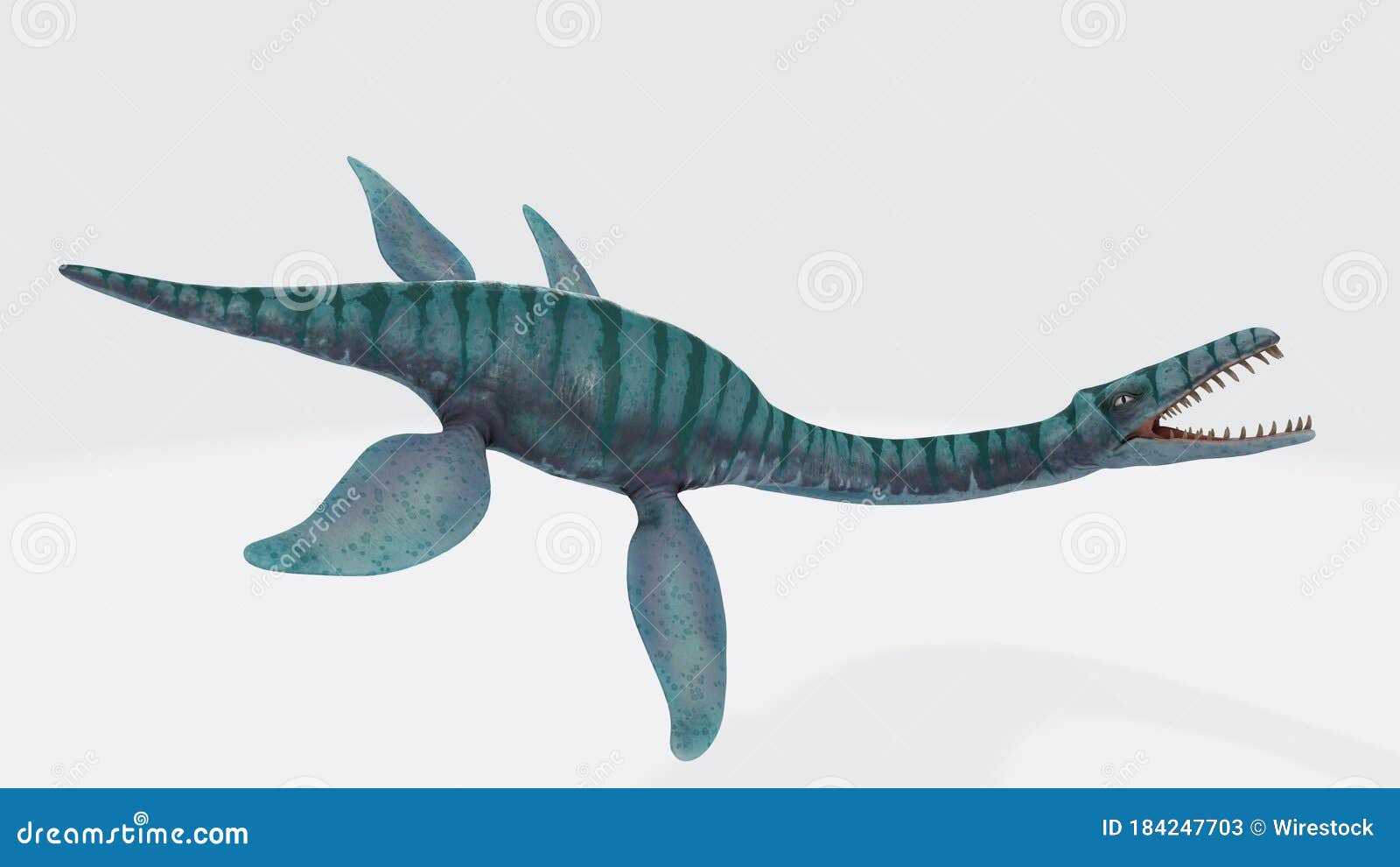 3D Rendering Illustration of a Plesiosaur Dinosaur Isolated on a White ...