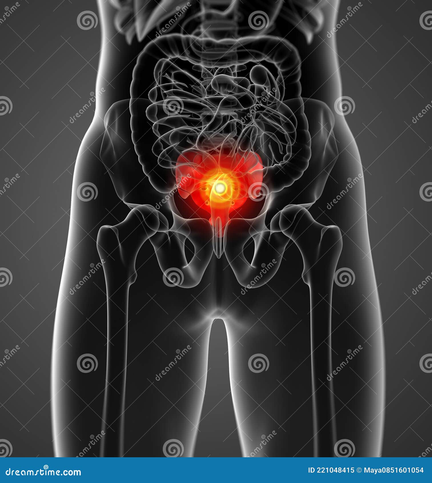 3D Rendering Illustration of Sacrum Bone Stock Illustration ...